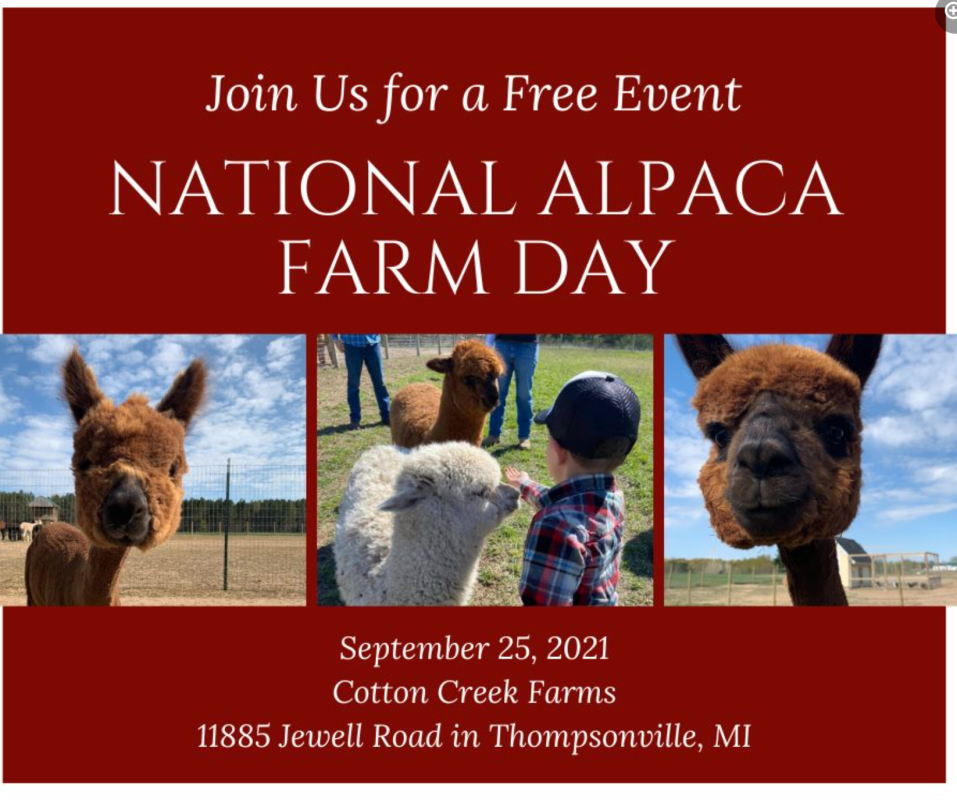 National Alpaca Farm Day - Michigan Farm Fun